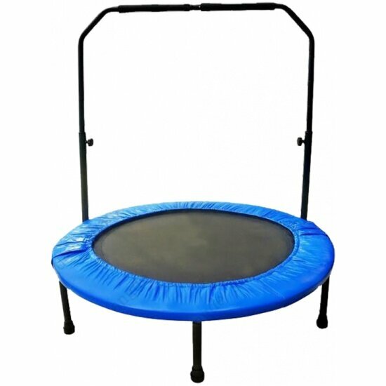 Батут для дома Капризун с ручкой 100 см синий