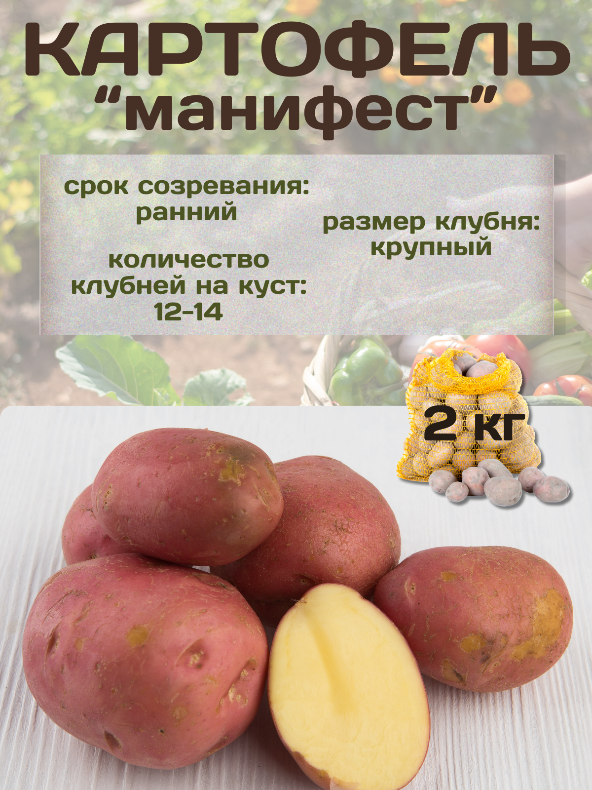 Картофель семенной Манифест 2 кг, на посадку