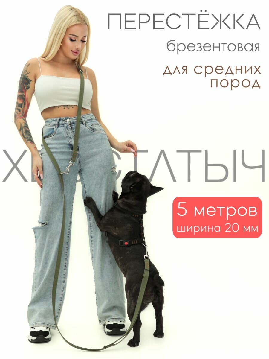 Перестежка Хвостатыч для собак PRO прошитая брезент 5 м х 20 мм (зеленый)