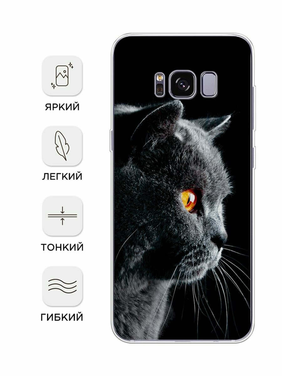 Чехол на Samsung Galaxy S8 + / Самсунг Галакси С8 Плюс с принтом "Благородный кот британец" — фото 1