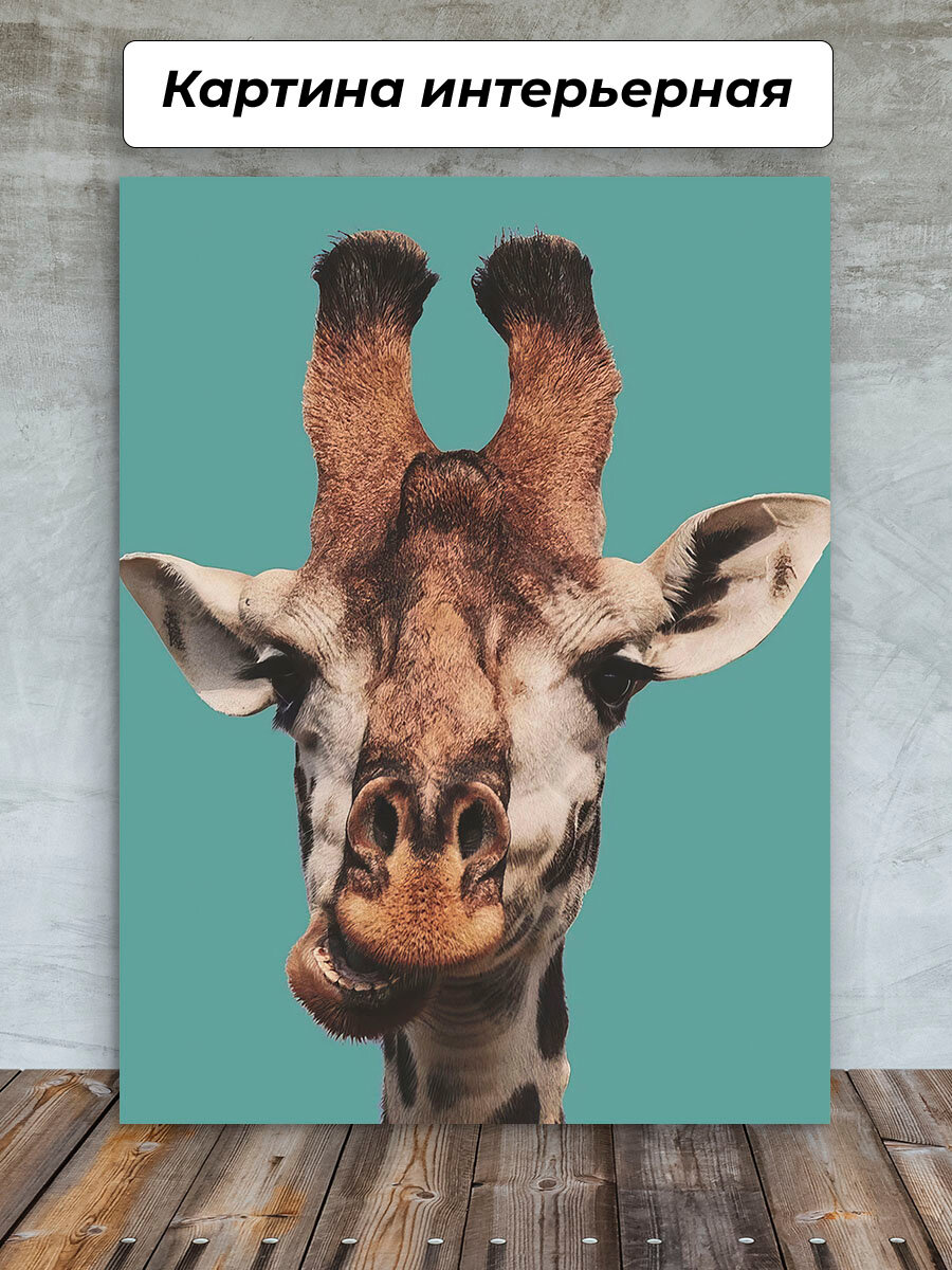 Картина на стену 40х60 Смешной жираф