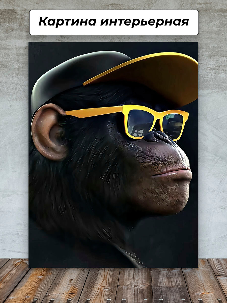 Картины для интерьера 30х40 Обезьяна в очках кепка