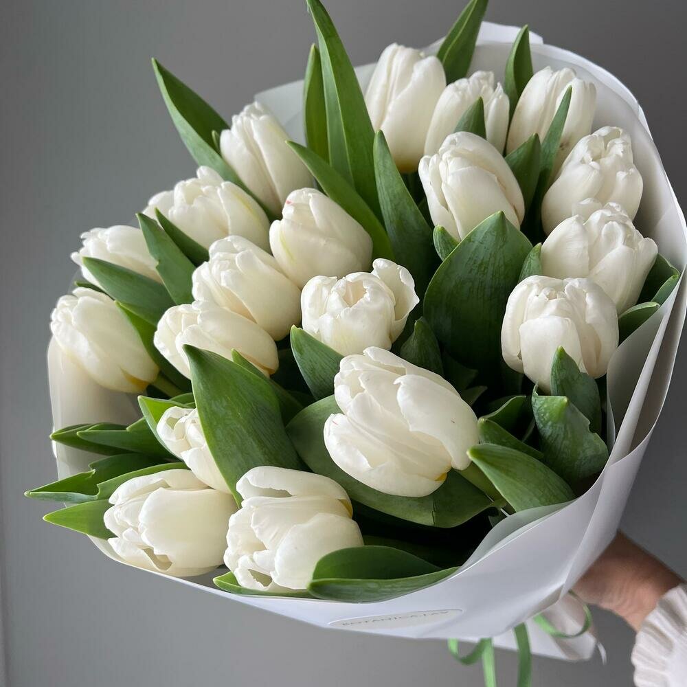 Тюльпаны / Тюльпан / Букет Тюльпанов / Тюльпаны Белые Голландия 19 шт