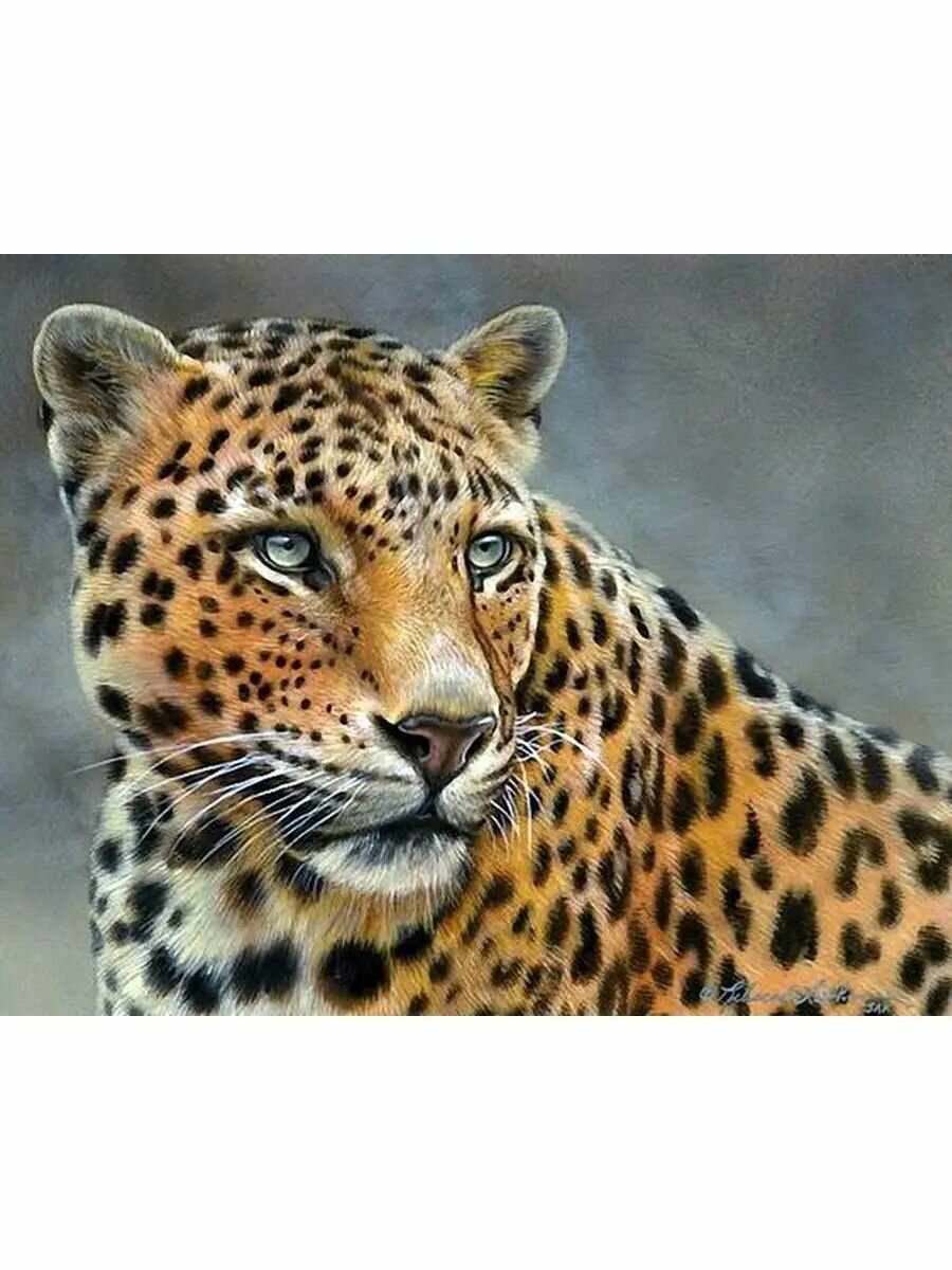Алмазная мозаика на подрамнике 40х50 полная выкладка мудрый взгляд Леопард