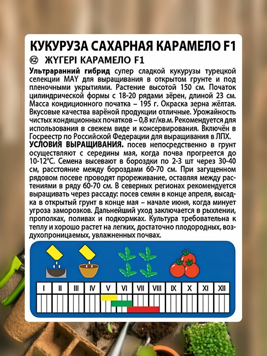 Семена кукуруза: Лакомка Белогорья, Сахарная Карамело, Медовая принцесса, Тройная сладость — фото 1