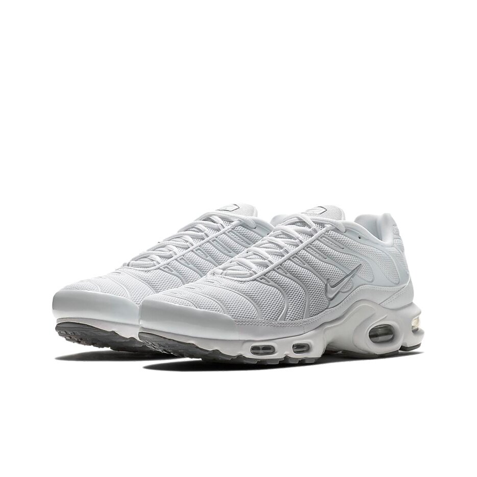 Кроссовки NIKE Air Max Plus, размер EU 41 стопа (26CM) — фото 1