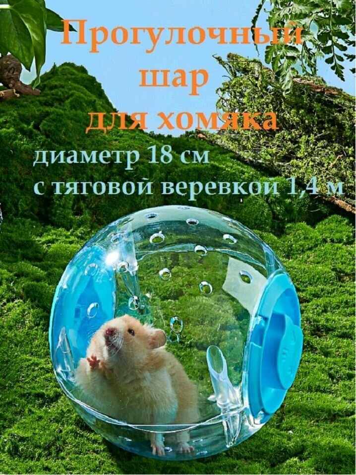 Прогулочный шар для грызунов
