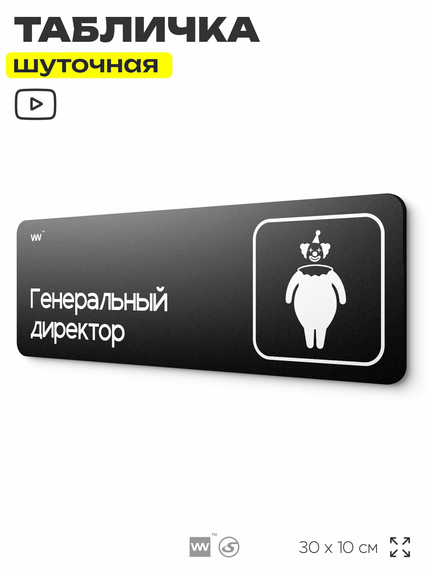 Табличка прикол на дверь для офиса "Генеральный Директор", шуточная в комнату, смешная в кабинет, прикольная для дома, юмор для коллеги, 30х10 см, Айдентика Технолоджи