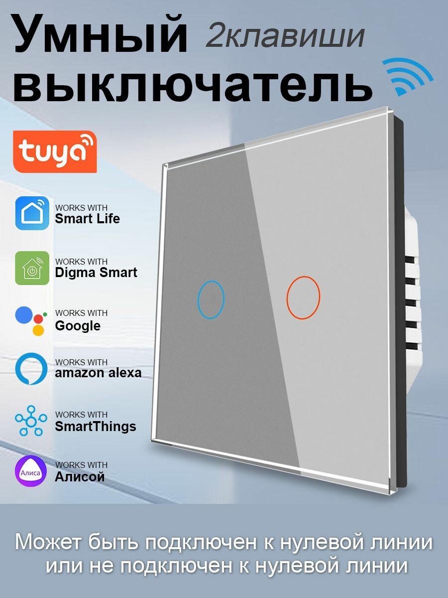 Умный сенсорный выключатель с Алисой WIFI двухклавишный серый
