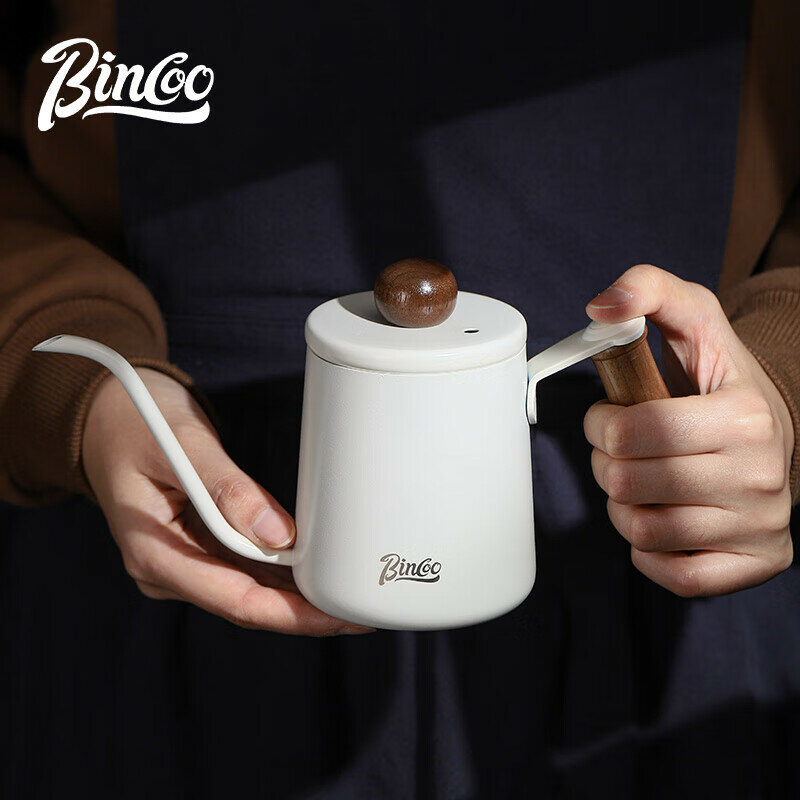 Bincoo Mini Portable Pour Over Coffee Kettle with Long Spout Stainless Steel Hanging Ear Coffee Drip Kettle
