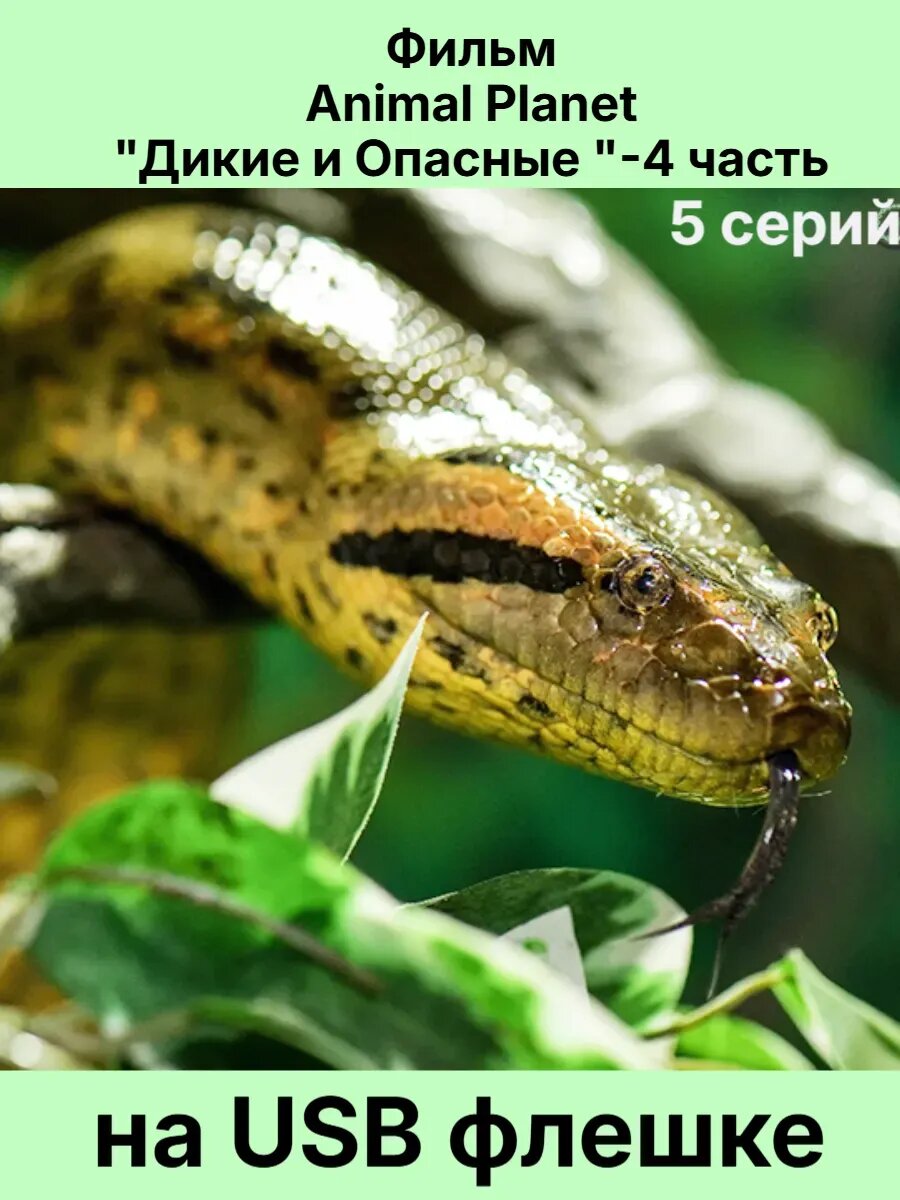 Animal Planet "Дикие и Опасные "-4 часть на USB флешке