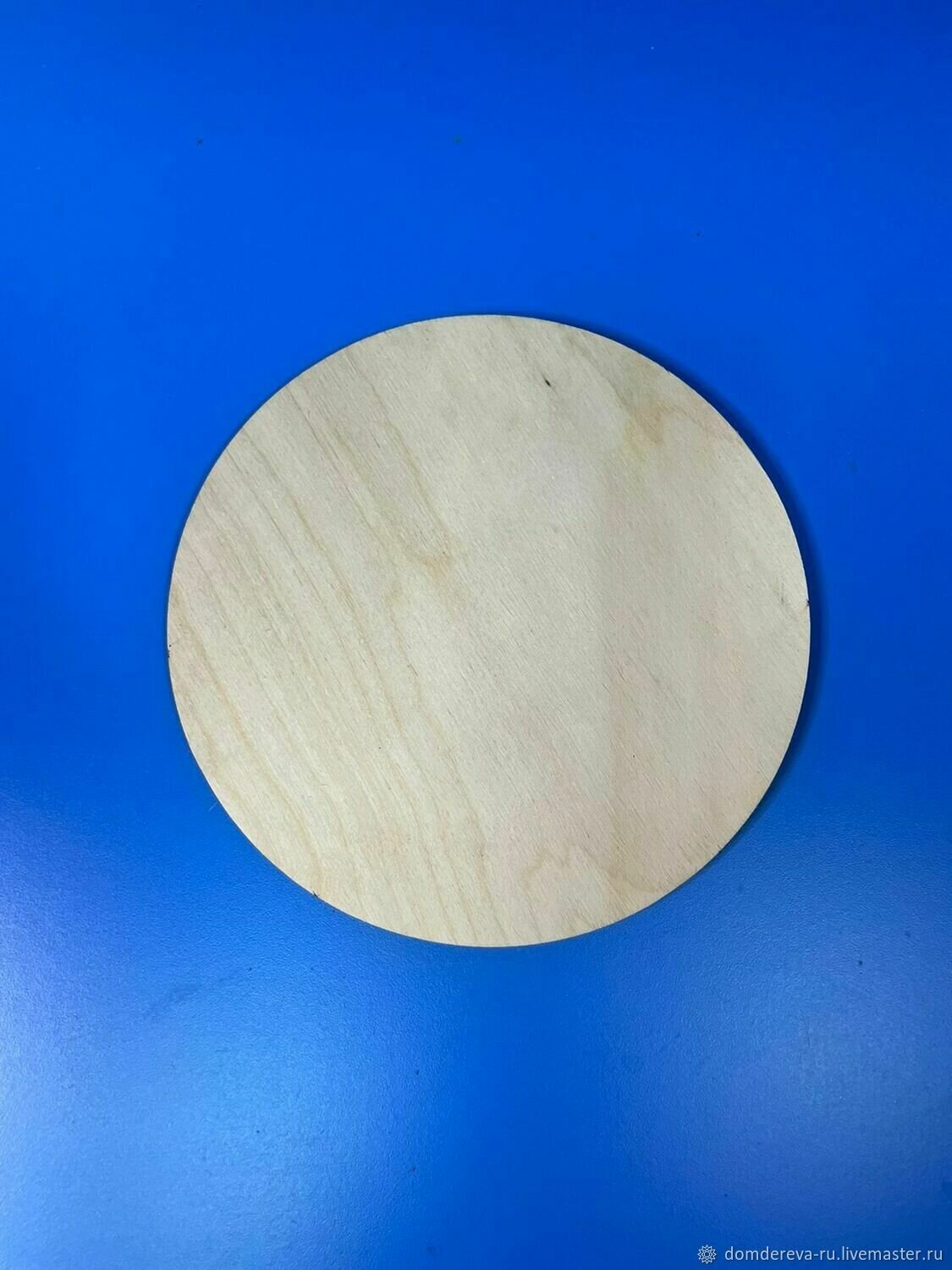 Набор заготовок для творчества и поделок "Круг" 18 см. из фанеры (10шт)