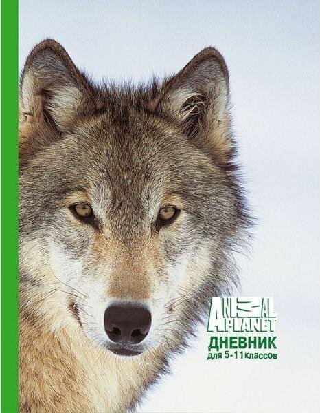 Action! AP-DU-12 Дневник для старших классов action! animal planet, матовая ламинация, выб. уф-лак, 7бц action!