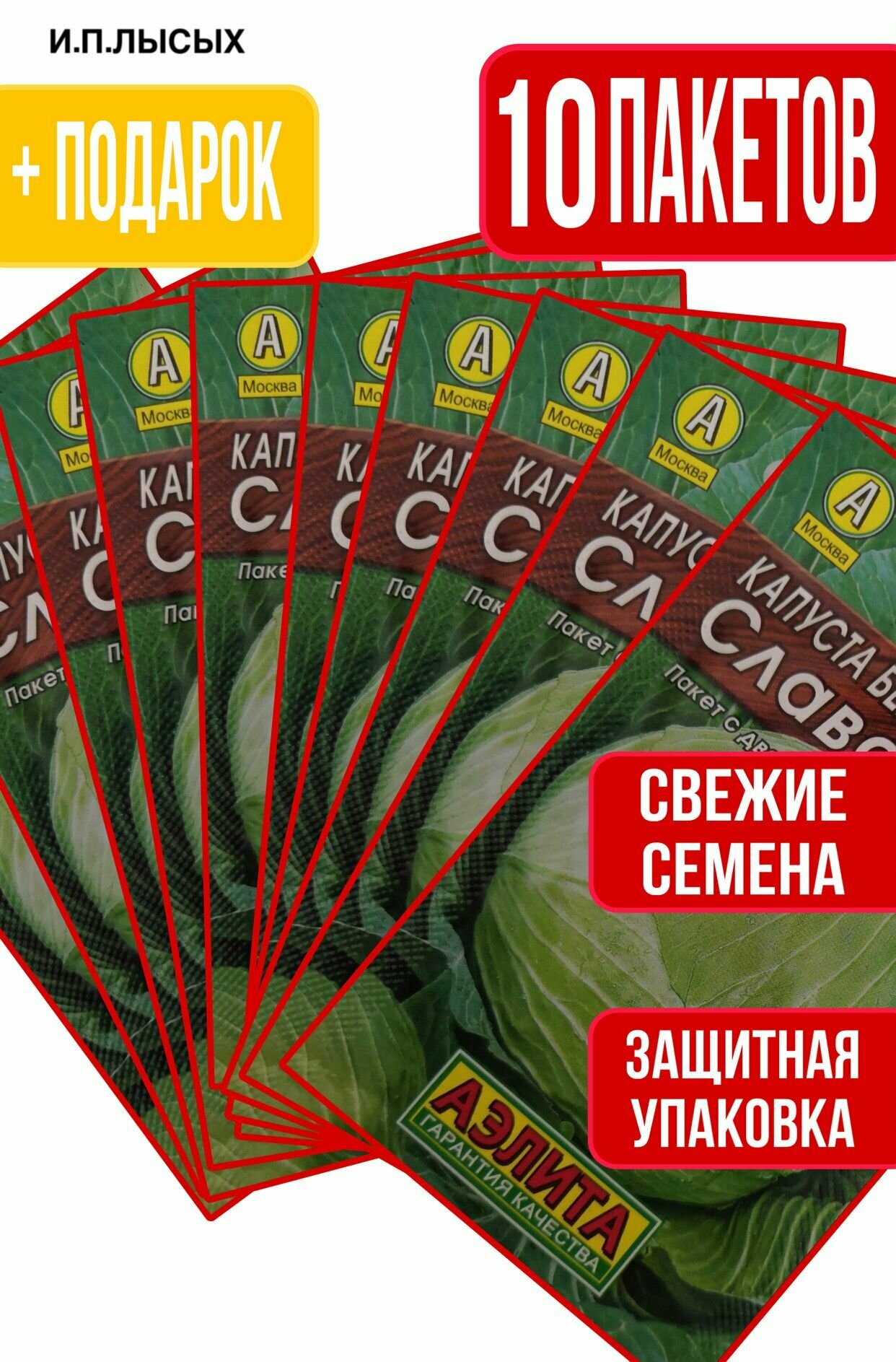 Семена капусты Слава 1305