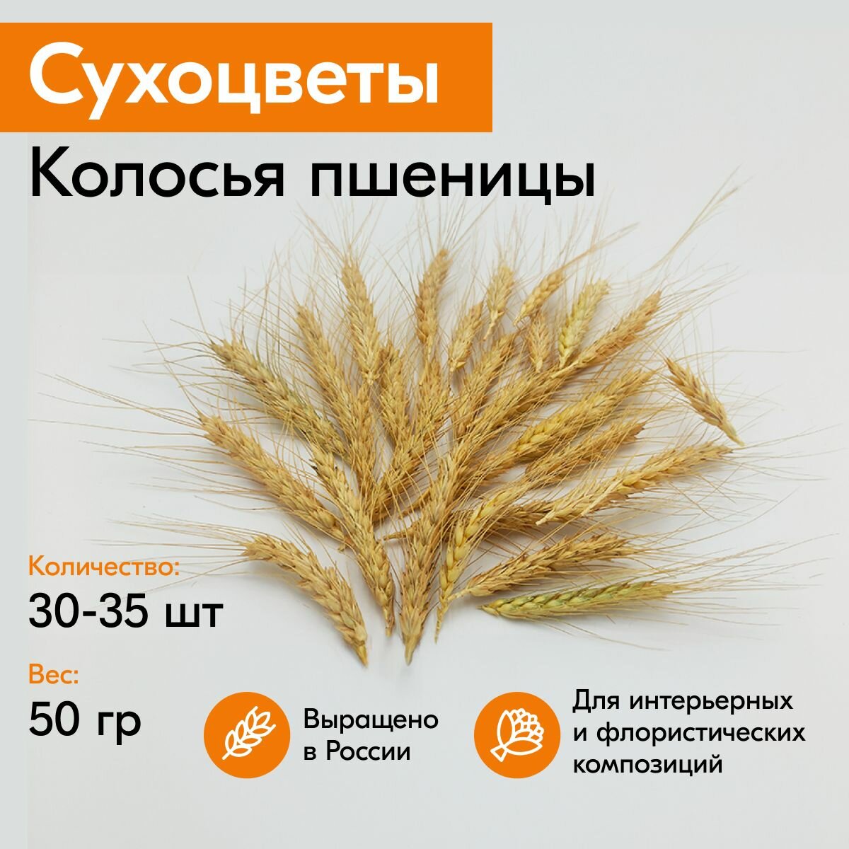 Соцветие пшеницы премиум 50г (30-35 шт) для декора, Колосья пшеница сухоцветы
