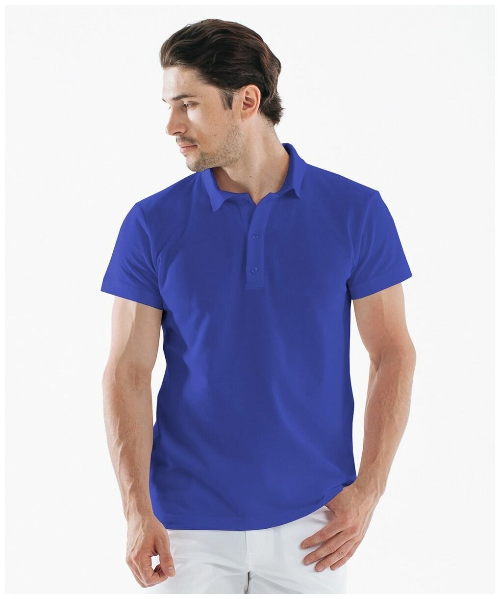 ENIGMA поло мужское 517002 (50, Василёк)