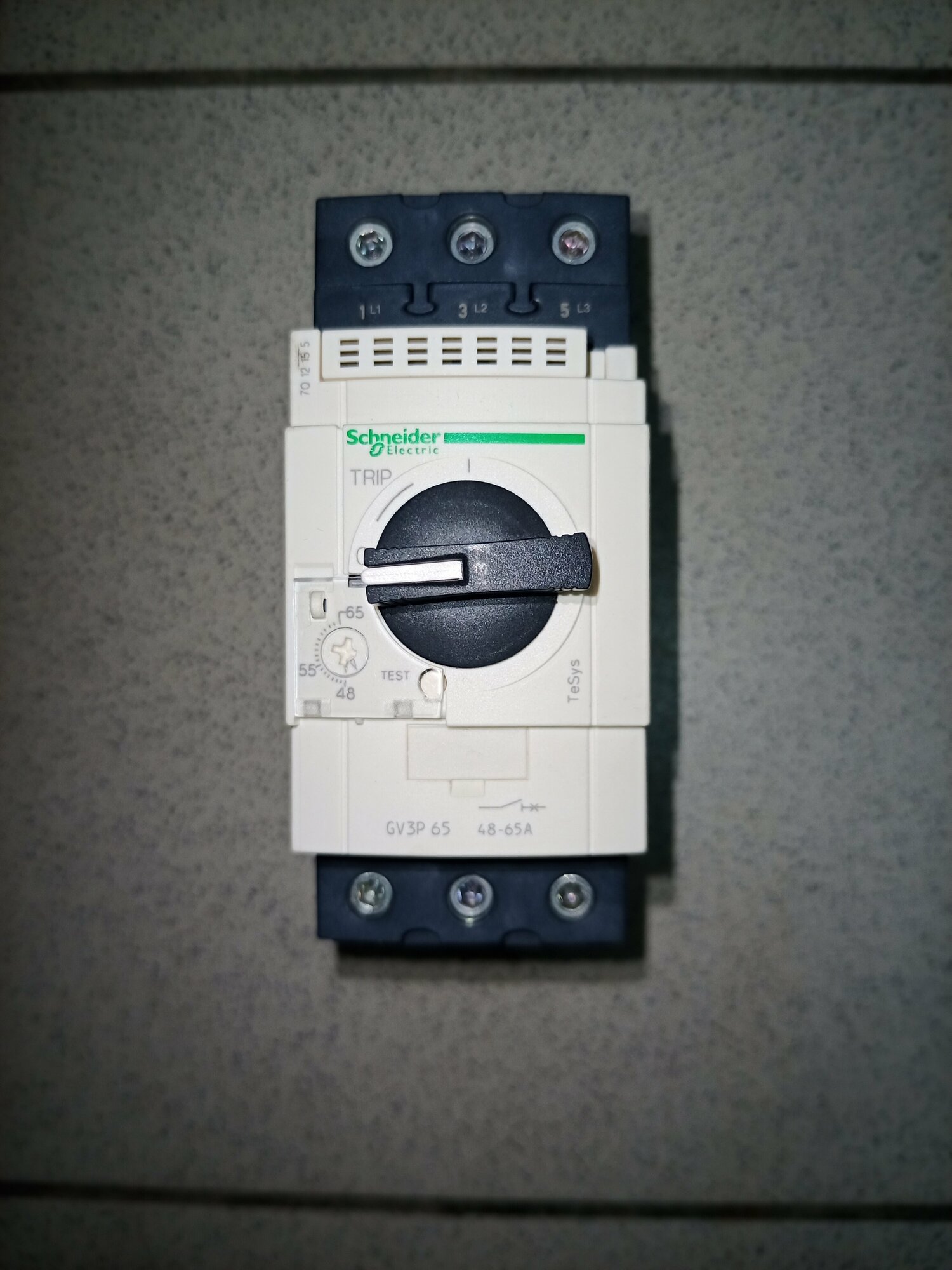 Выключатель автоматический для защиты двигателя 48-65А P60 Schneider Electric GV3P65 Автомат защиты двигателя