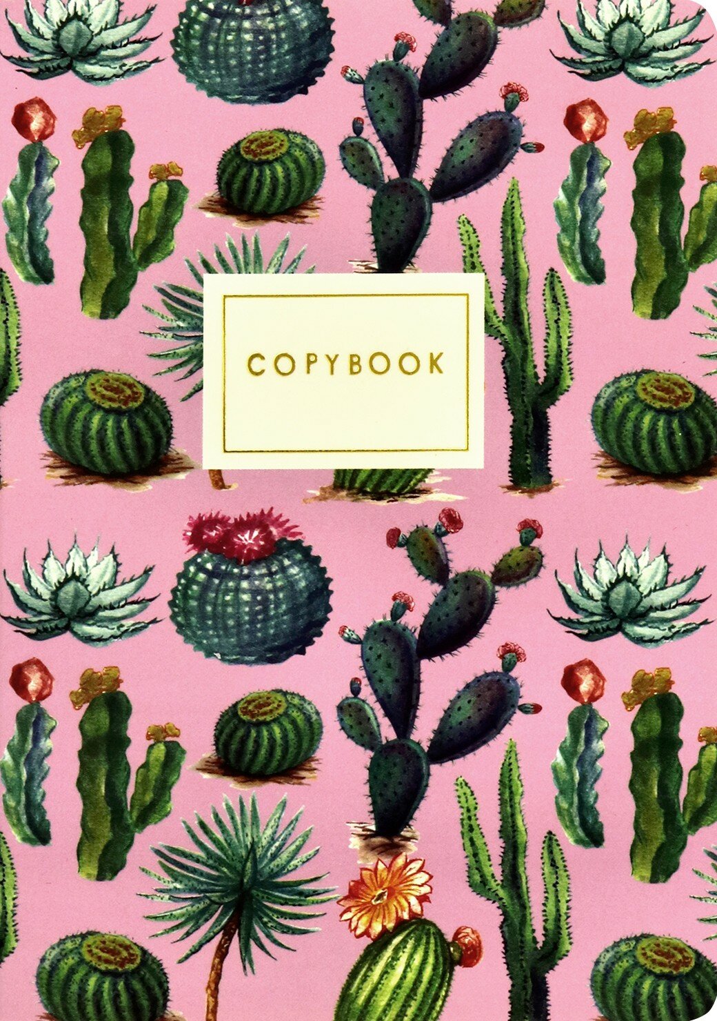 Записная книжка "Солнечный кактус" (32 листа, А6, клетка) (7-32-001/10)