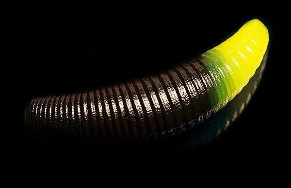 Мягкие приманки Jara Baits Trout Series BRUCHI-40 Сыр # 201 (12шт), в банке