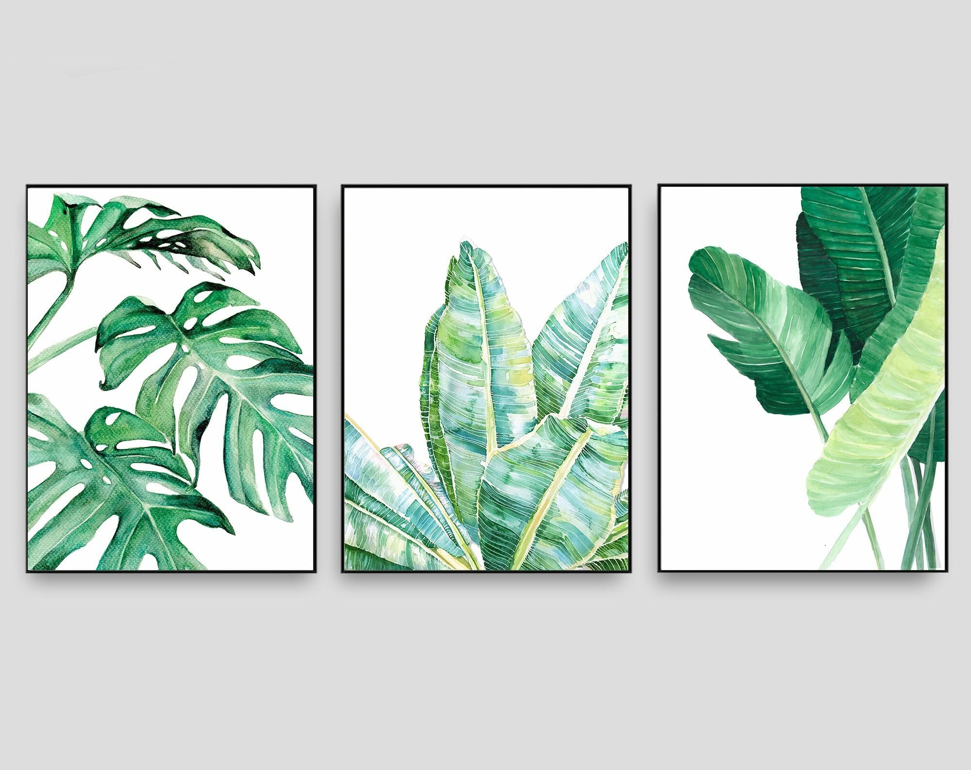 Набор винтажных плакатов Листья Монстеры и Пальм (3 шт размер А4, без рамы)