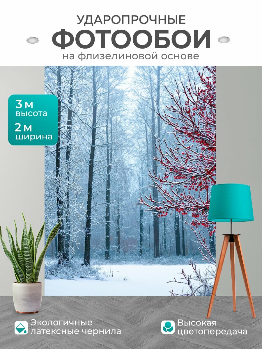 Фотообои моющиеся ударопрочные "Лес в стиле вектор с зимним лесом, покрытым снегом, деревьями с инеем и яркими ягодами, создающими контраст и праздник" 200x300 см. флизелиновые на стену