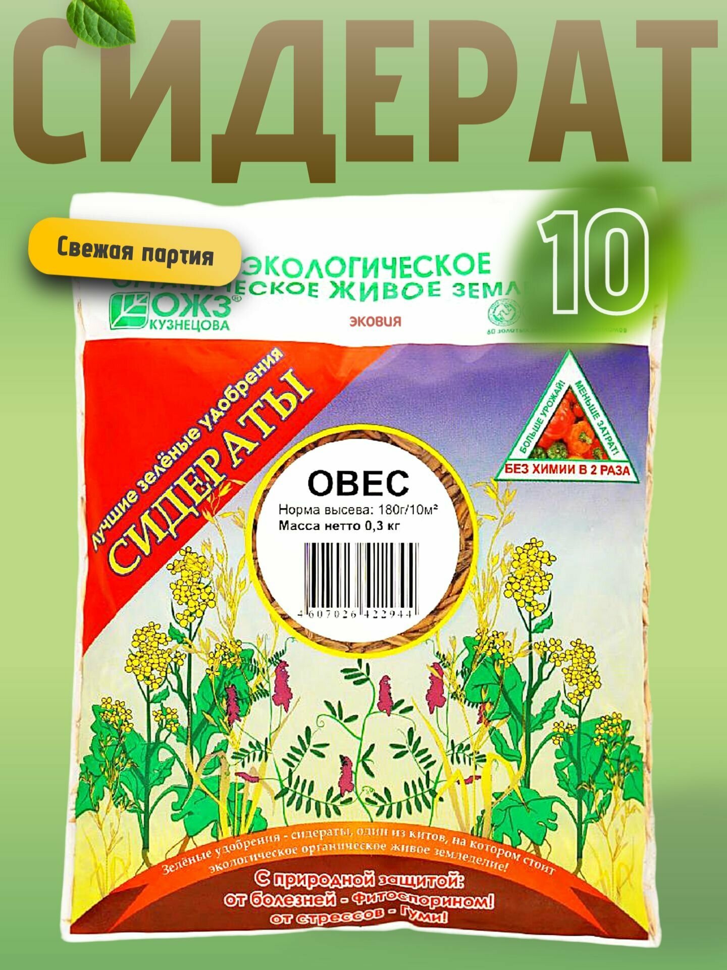 Семена Овес сидерат 10 уп по 0,3кг