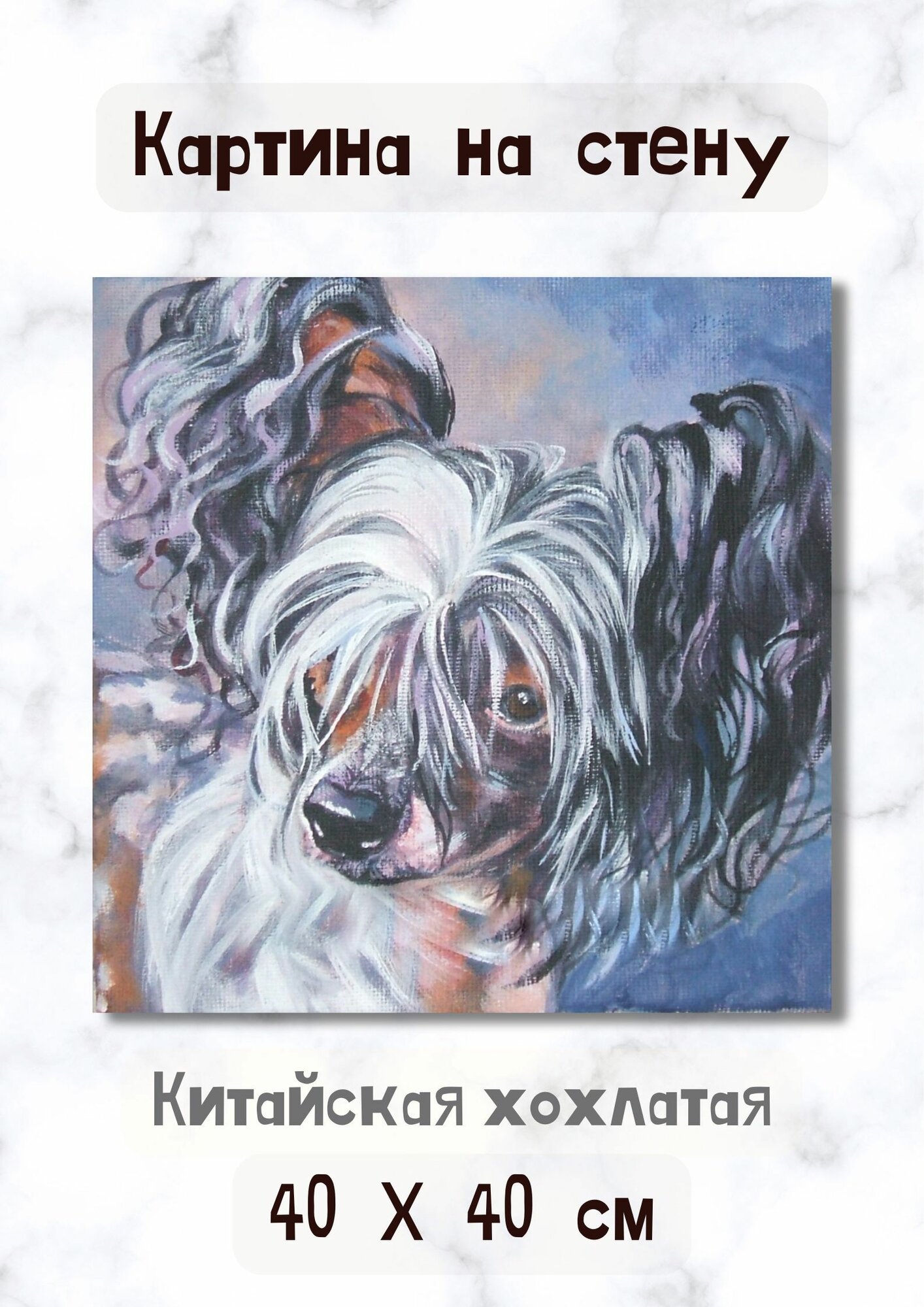 Картина "Китайская хохлатая собака" на холсте в рисованном стиле с маленьким псом 40х40