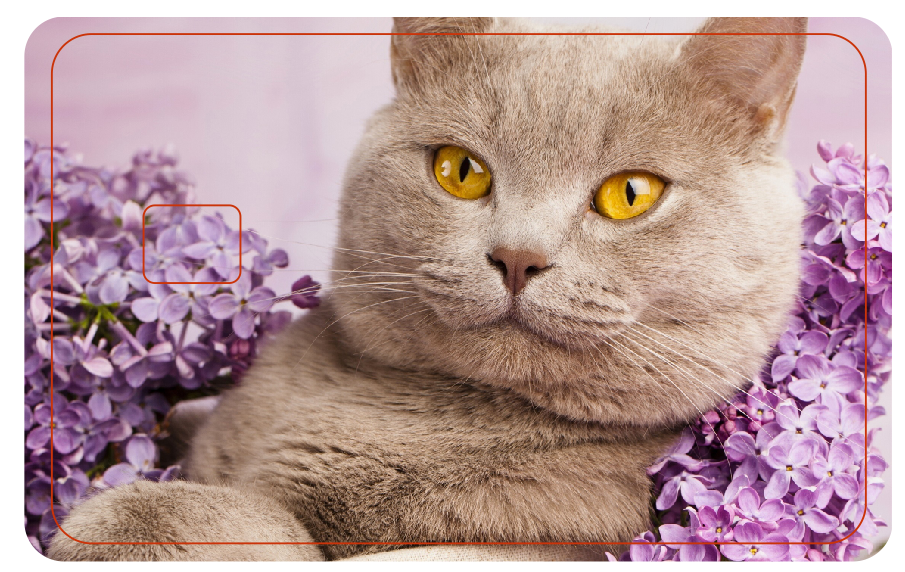 Наклейка на банковскую карту, стикер на карту, кошки