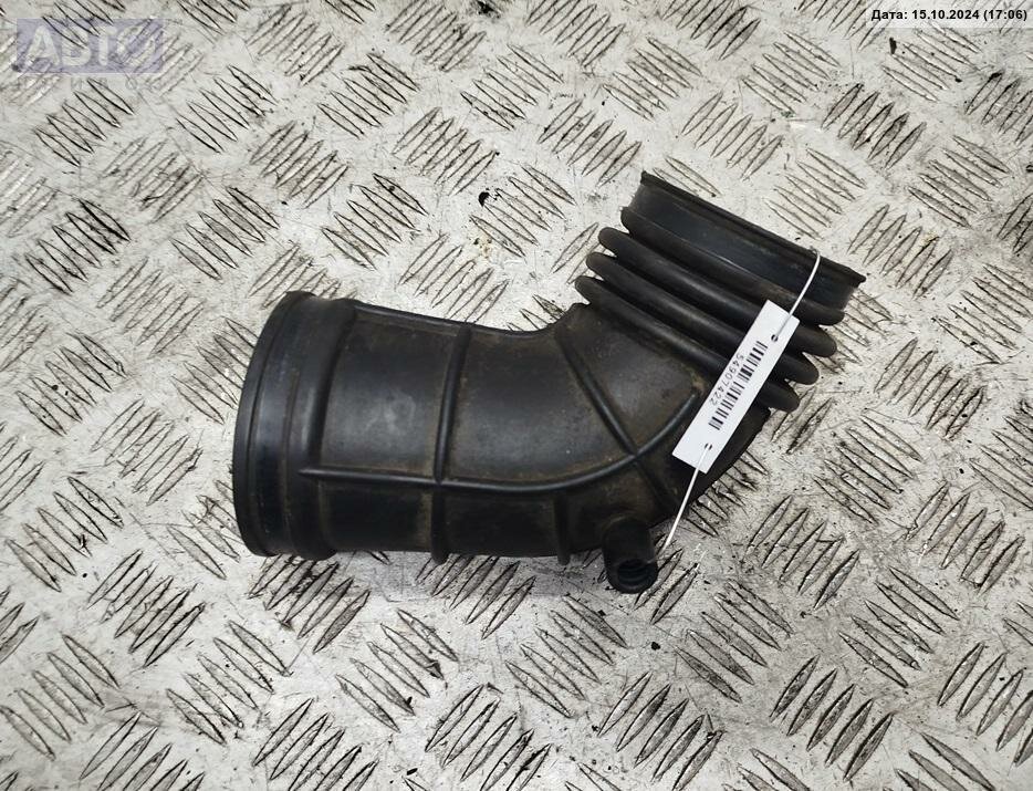 Гофра инжектора BMW 3 E46 (1998-2006)