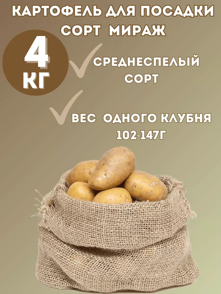 Картофель семенной "Мираж" 4 кг