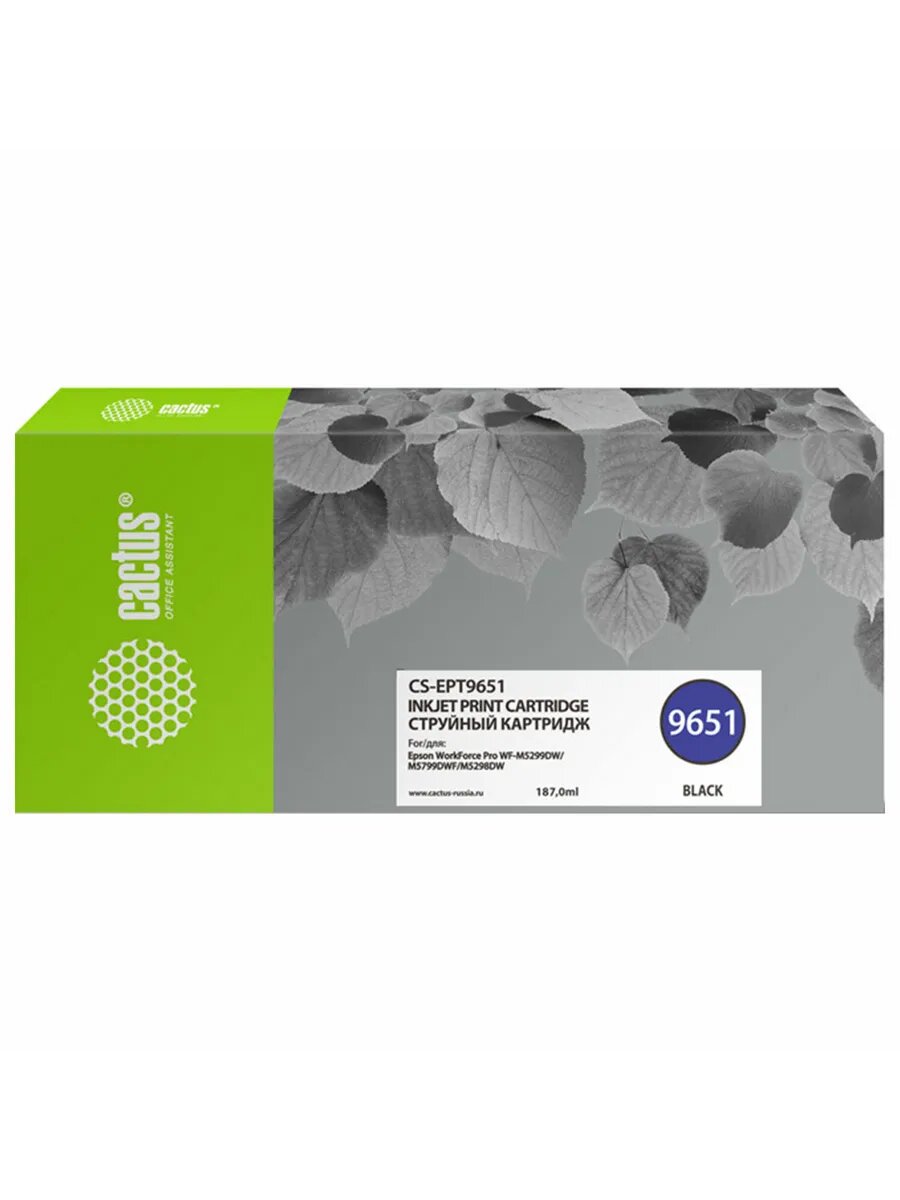 Картридж струйный (CS-EPT9651) черный