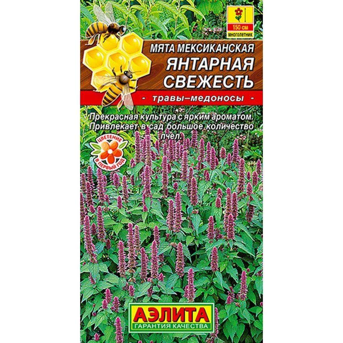 Семена Мята мексиканская Янтарная свежесть, Аэлита - Травы-медоносы, 1 пачка - 0.05г семян