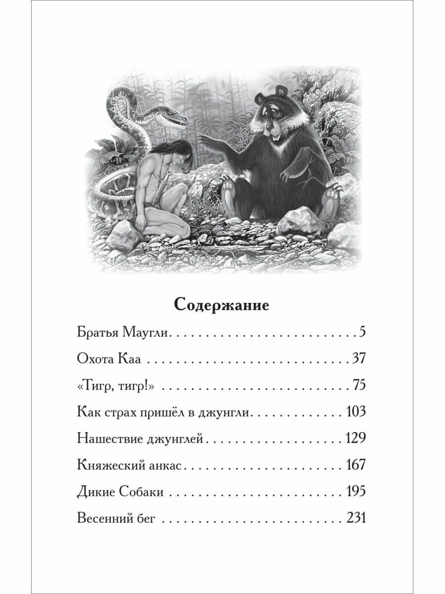 Маугли/Р. Киплинг — фото 1