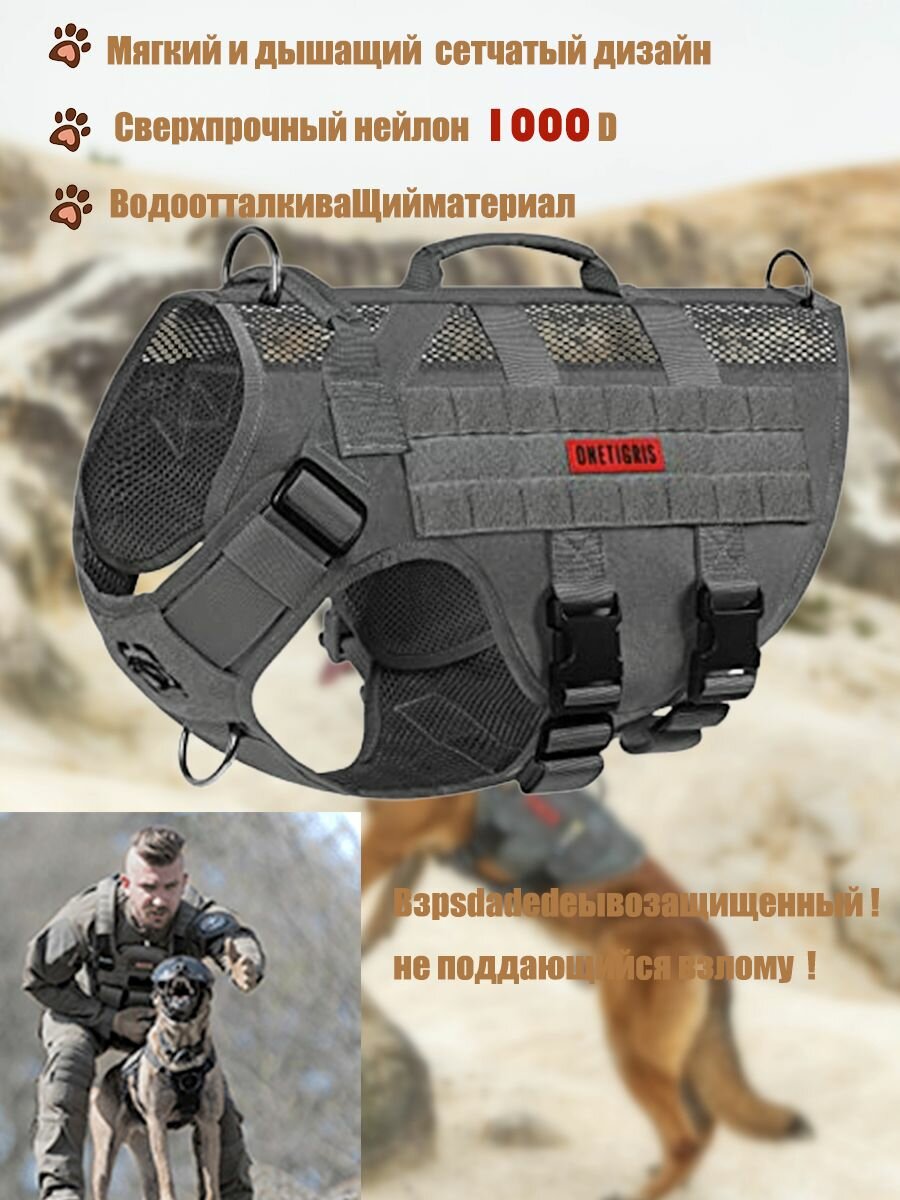 Шлейка