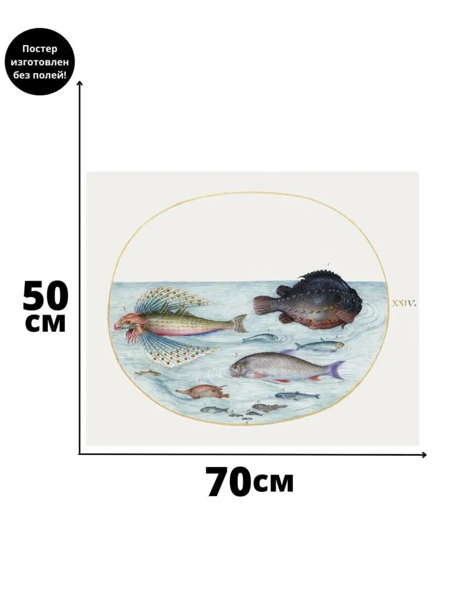 Постер в морском стиле ретро рисунок, 70 x 50 см, бумага, без рамы