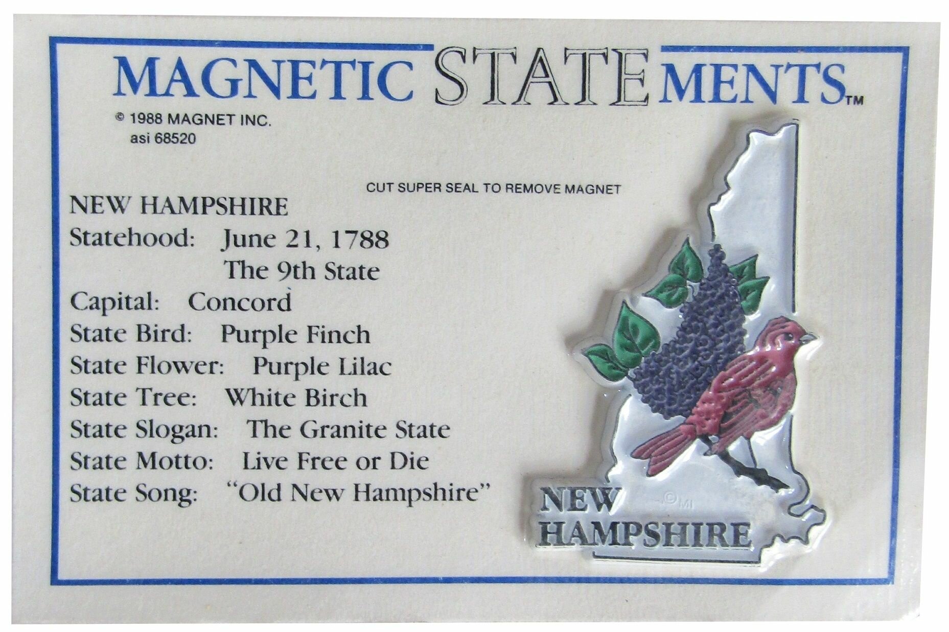 Magnetic Statements. New Hampshire Магнит на холодильник
