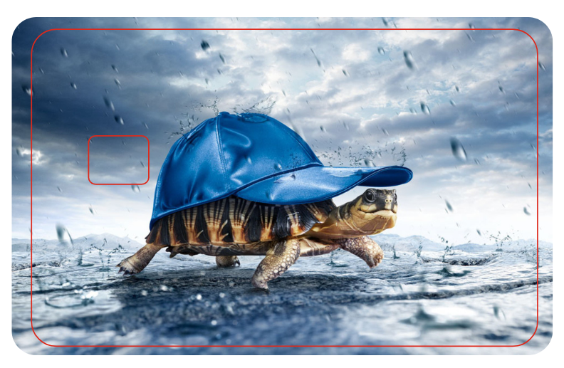 Наклейка на банковскую карту, стикер на карту, Черепаха