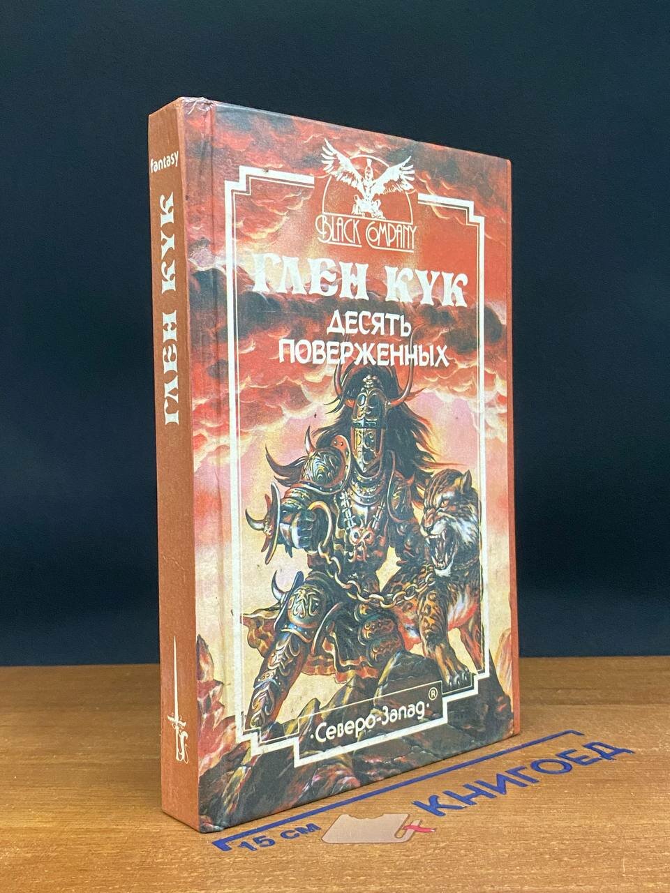 Книга. Десять поверженных 1993 (2042023799668)