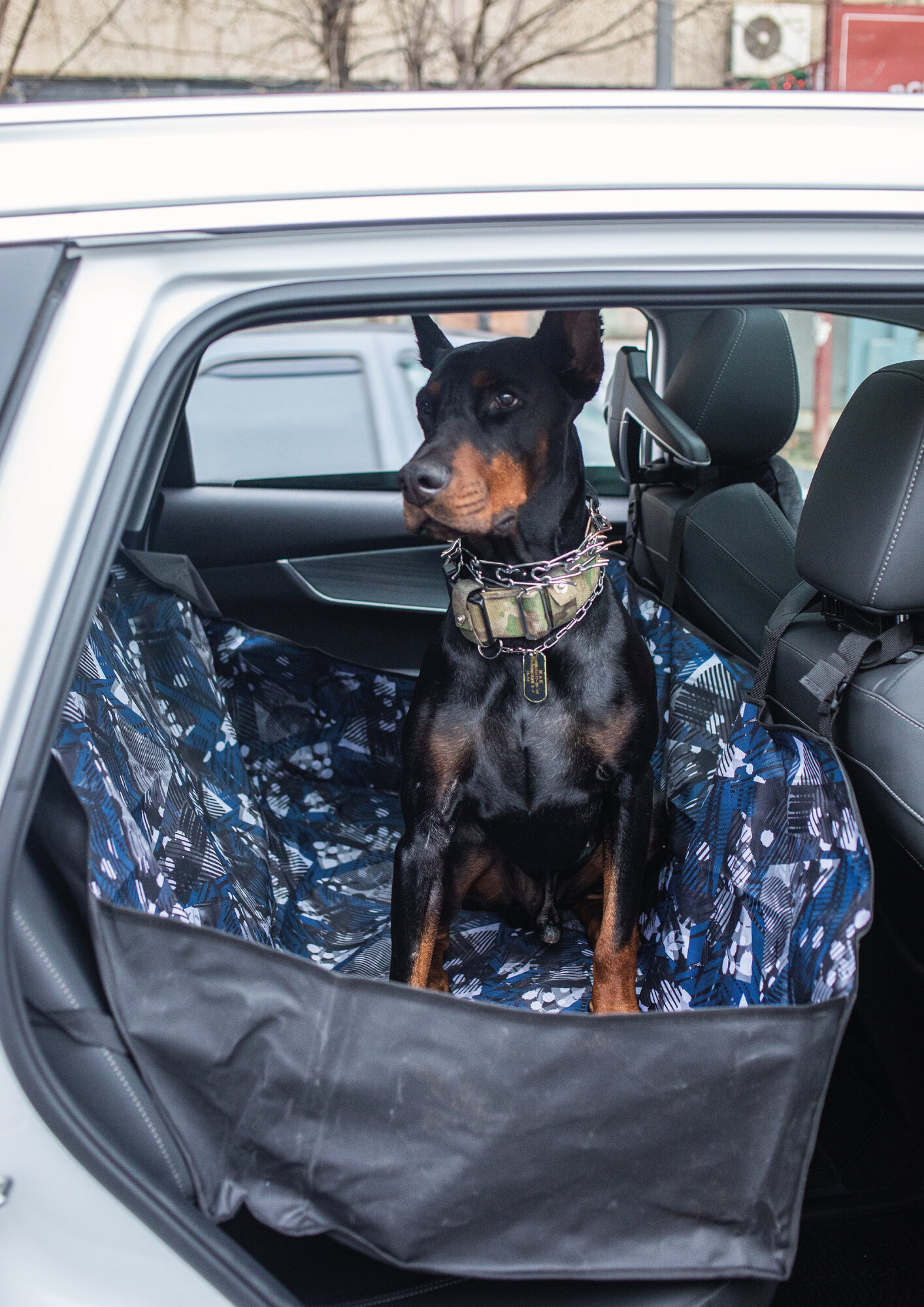 Автогамак для перевозки животных Монморанси "Накидка на сидение для собак с защитой двери", цвет: синий,140*60*25см