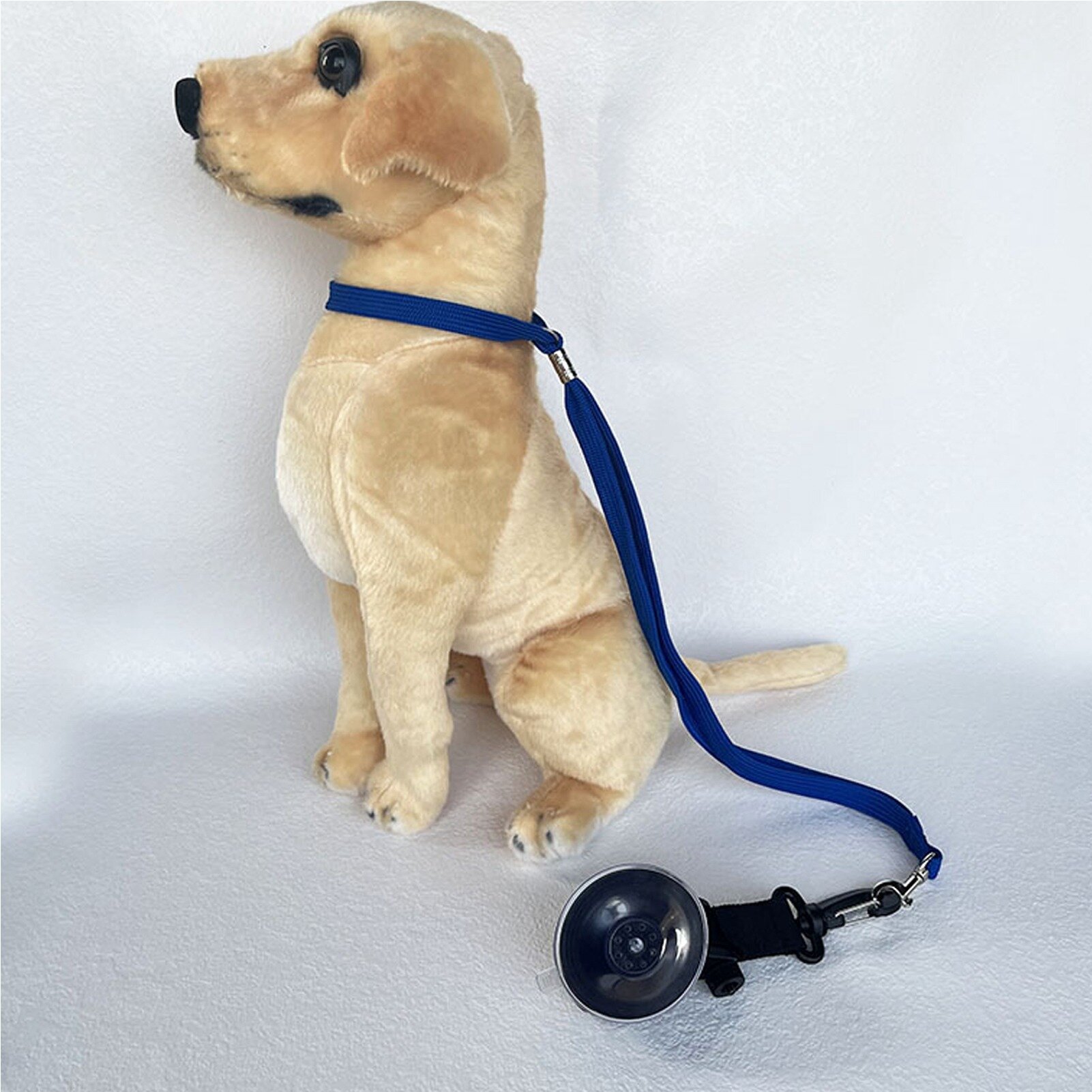 Привязь для купания домашних животных Регулируемый поводок для купания собаки с присоской для ухода за щенками и кошками в душе Синий S (6,5 см / 2,6 дюйма на присоске)