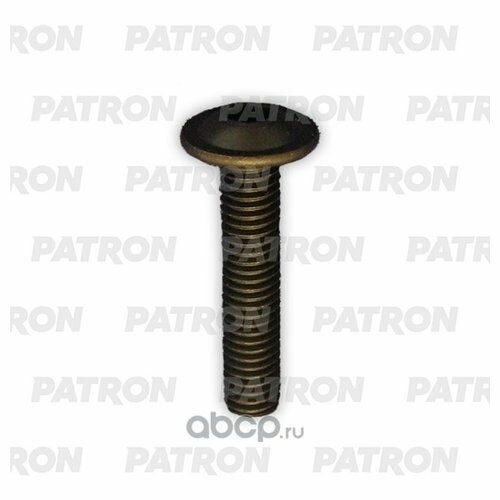 Болт металлический с внутренним шестигранником, черный M8X30 Patron P373222T