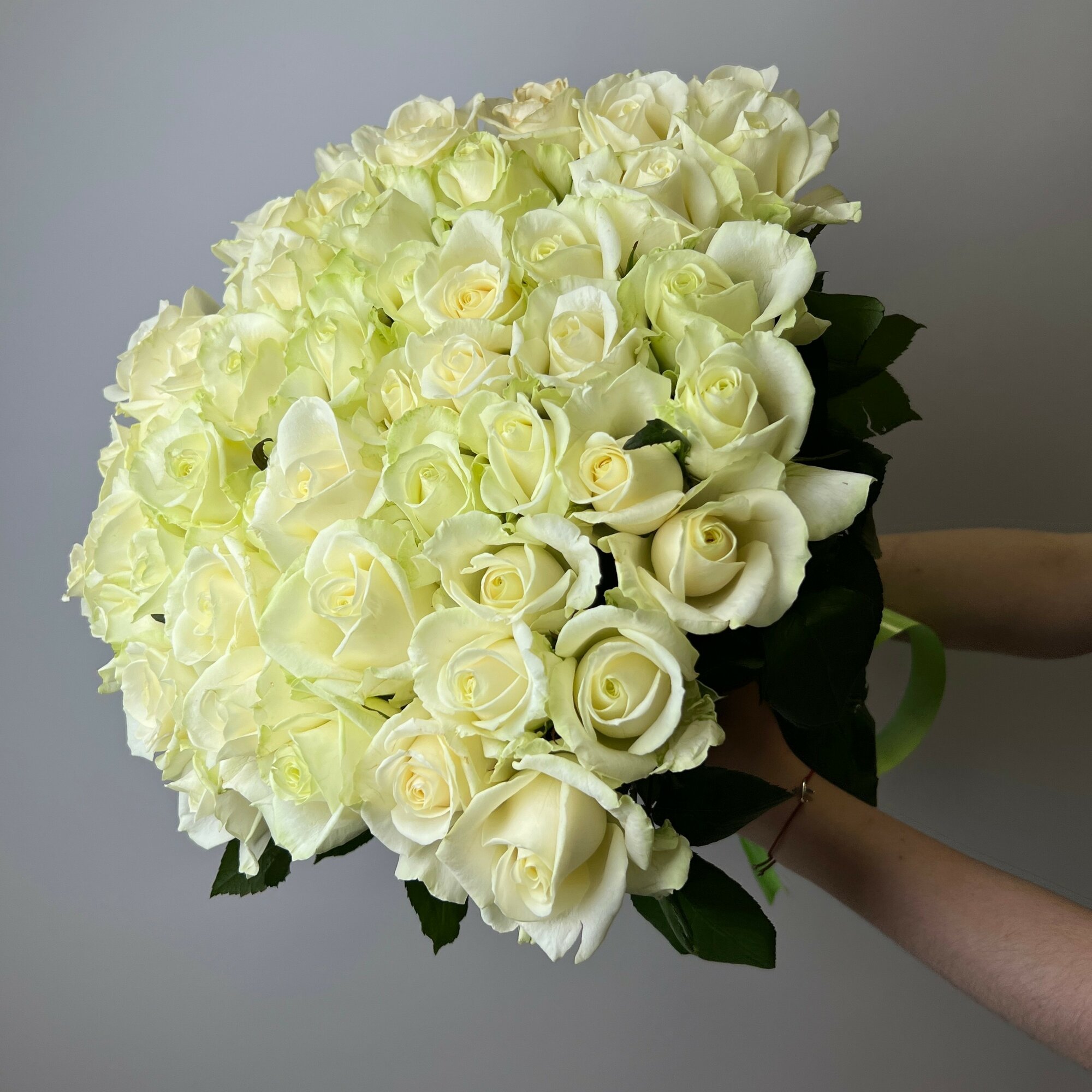 Живые цветы букет из 51 белой розы высотой 50cм", сорт - "Аваланж" от KATTY GARDEN, записка В подарок