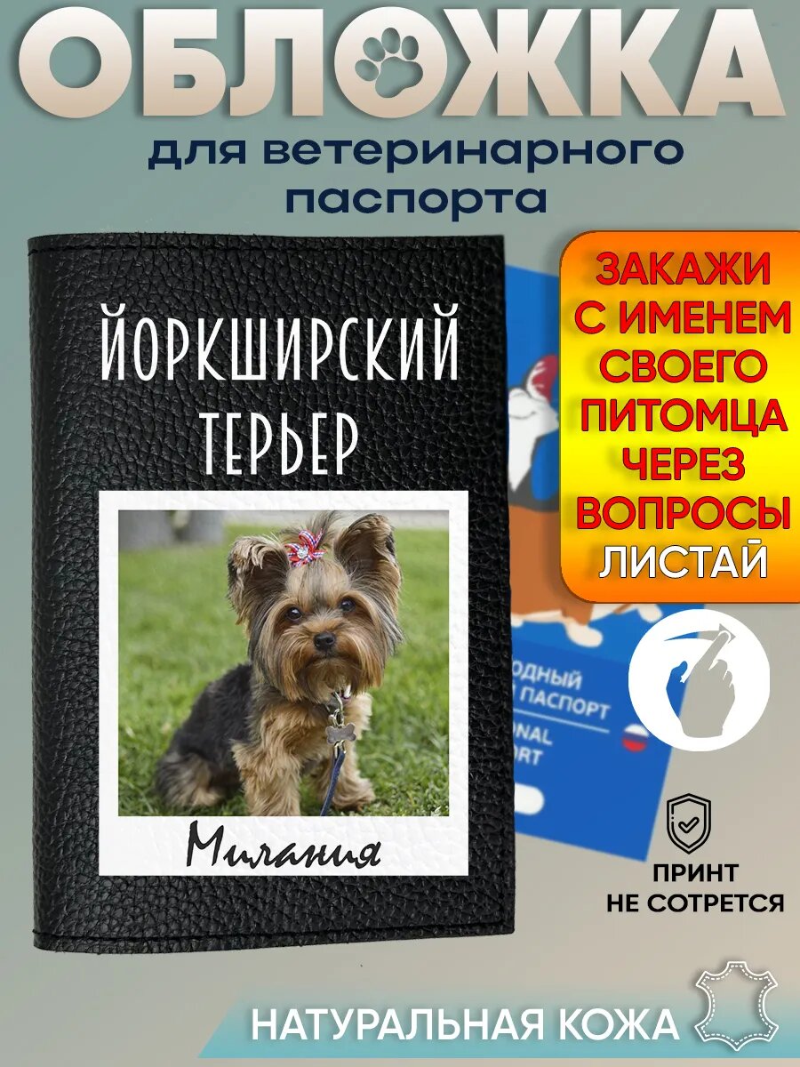 Обложка RenBel