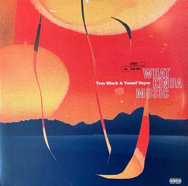 Виниловая пластинка Tom Misch & Yussef Dayes - What Kinda Music (2LP, 2020, Blue Note)