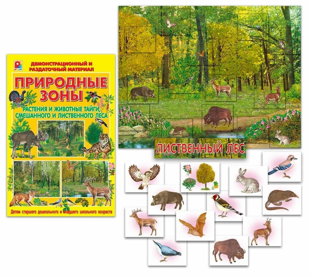 Демонстрационный и раздаточный материал "Природные зоны. Растения и животные тайги, смешанного и лиственного леса"