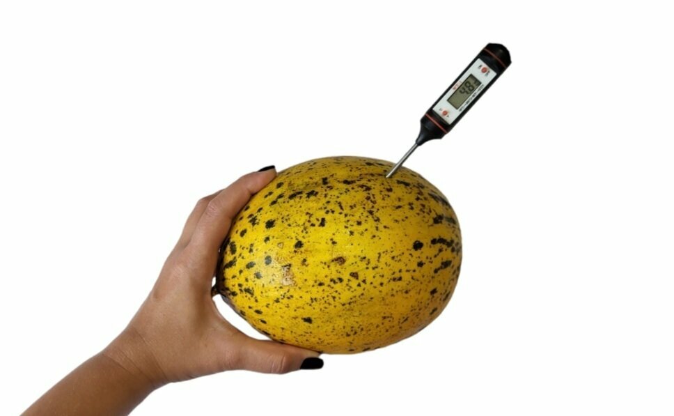 Термометр контактный штыревой / Электронный измеритель температуры от -50 до +300 С/ Термометр для всех типов продуктов