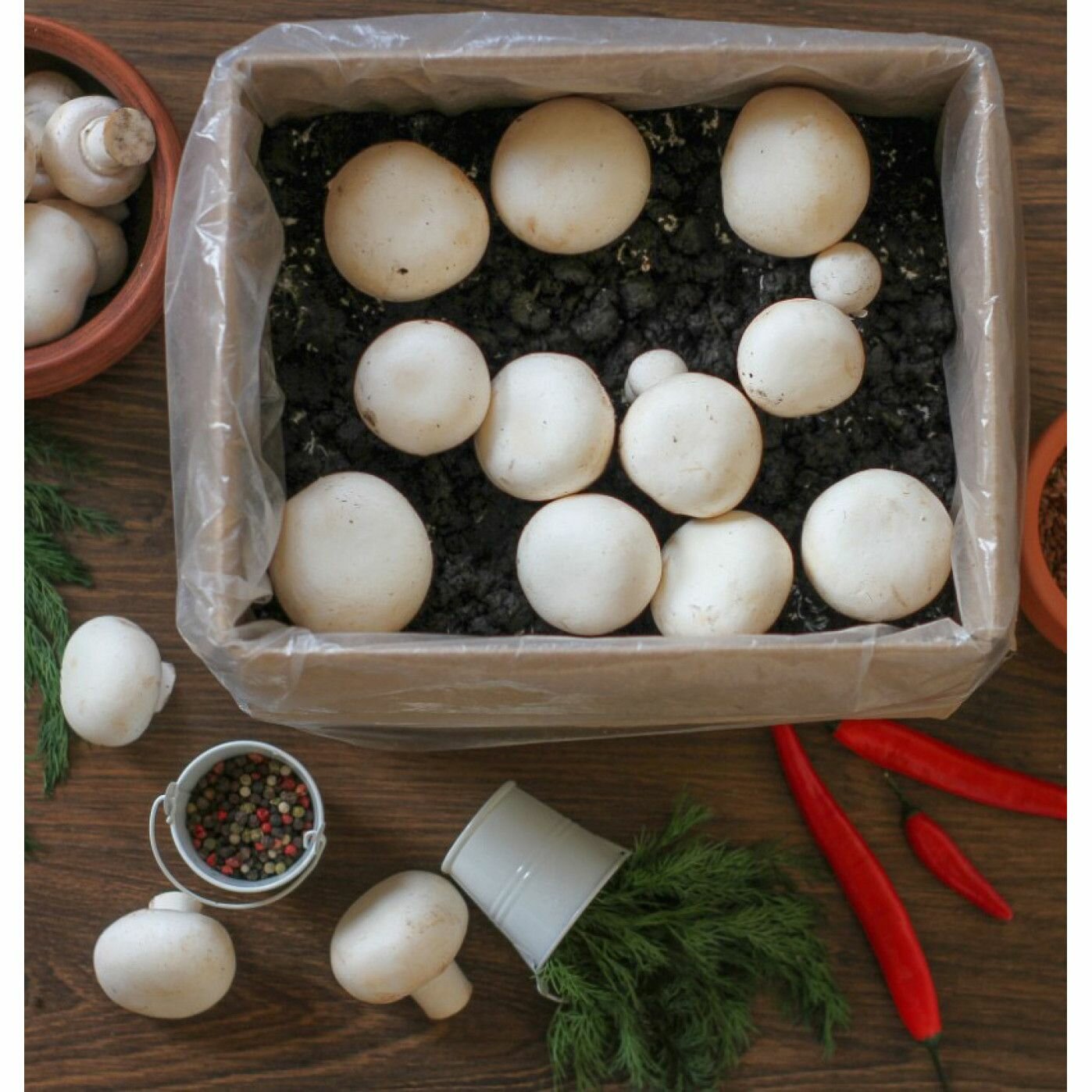 Мицелии грибов Шампиньон 300 грамм