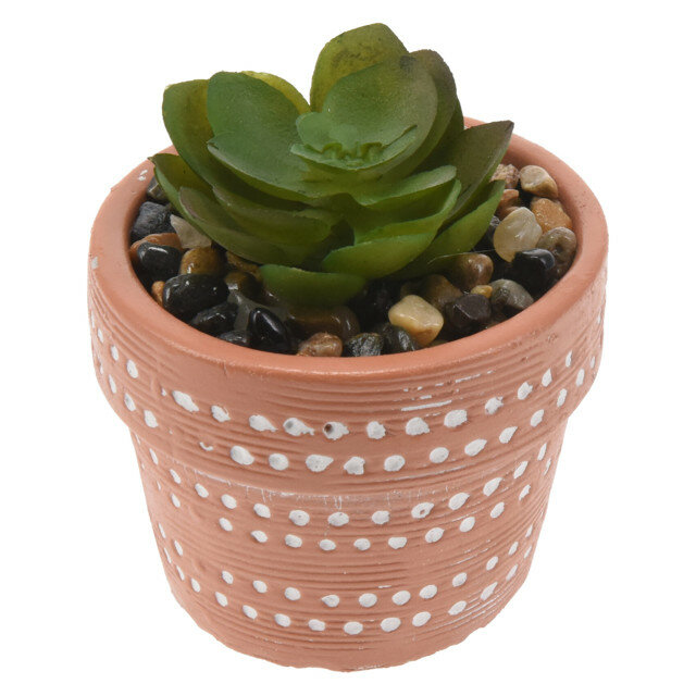 Искусственное растение суккулент в горшке 11 см, цвет в ассортименте, 1 шт