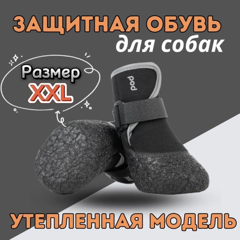 Обувь для собак