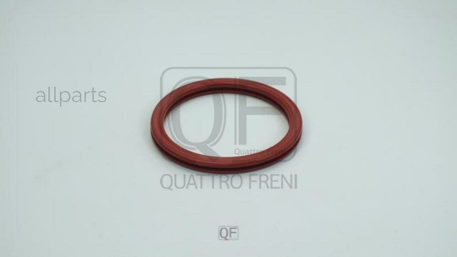 QUATTRO FRENI QF76A00100 Кольцо уплотнительное дроссельной заслонки